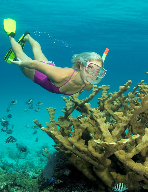 Best Nassau Snorkel Adventure - Half day Shore Excursion at Nassau ...