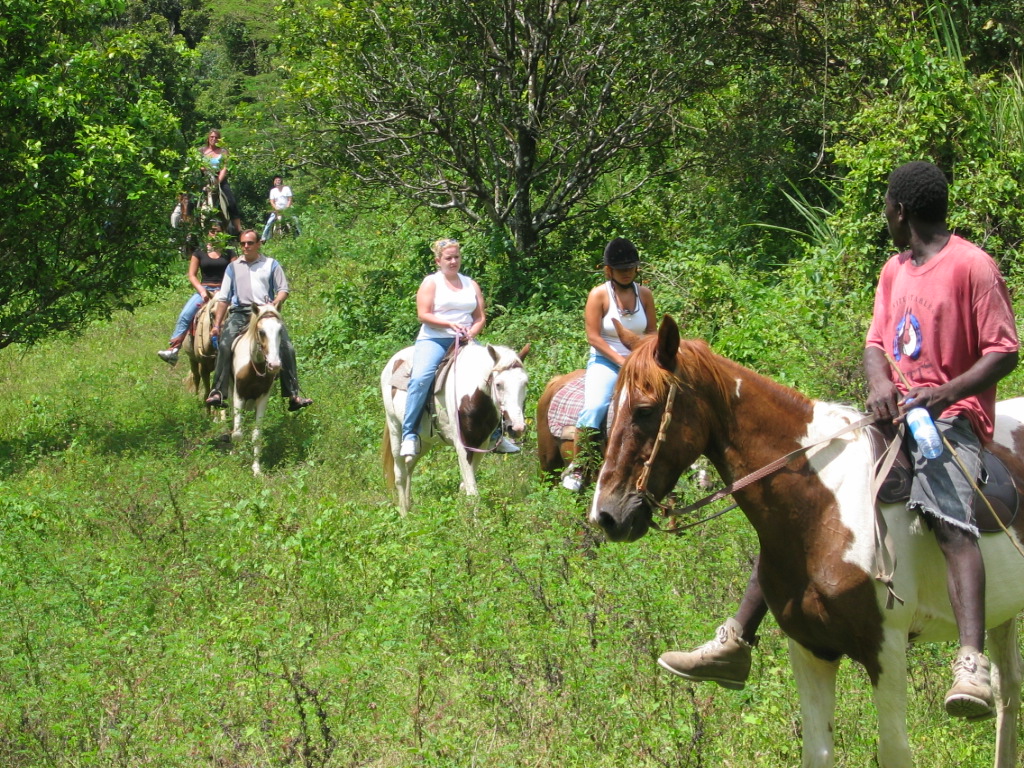 AAA Excursions - Best Horseback Ride through the Rainforest Shore ...